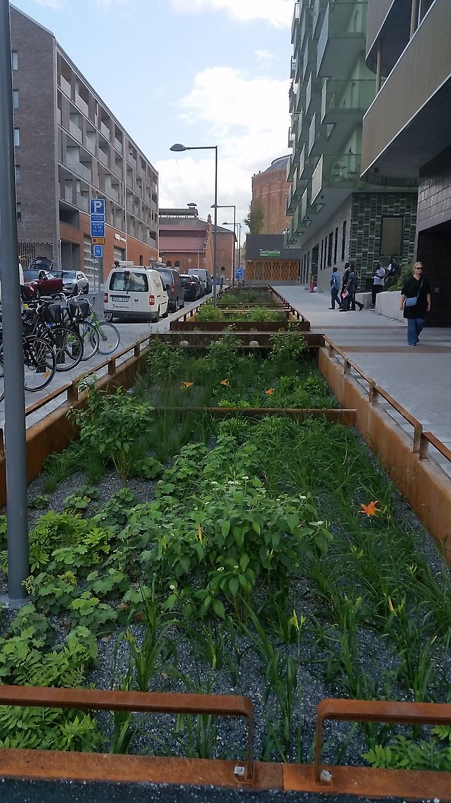 Climate change adaptations in Nordic cities with green infrastructure ...