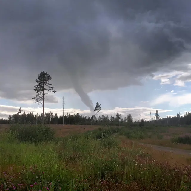 Tromber och fallvindar i Sverige 2015-2019 — SMHI