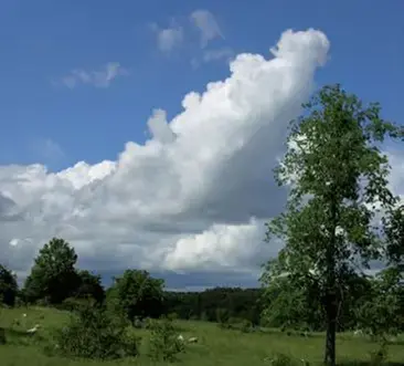 Mörka och ljusa moln — SMHI