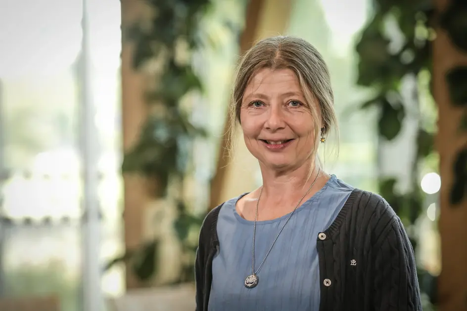 "Modellerna är våra labb" — SMHI