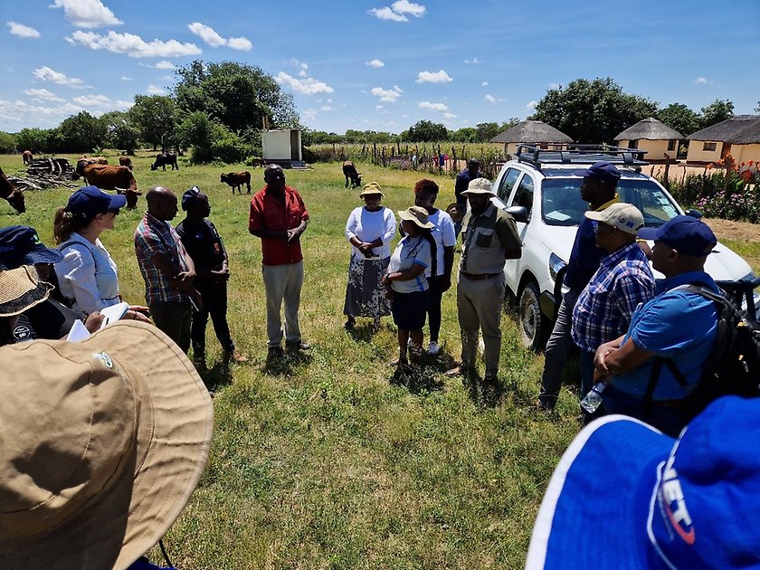 Climate Adaptation for Rural Livelihoods in Zimbabwe (CARL) – Phase 2 ...